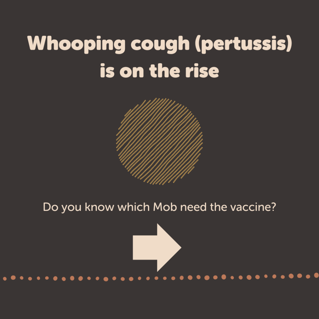 Whooping cough is on the rise – Institute for Urban Indigenous Health
